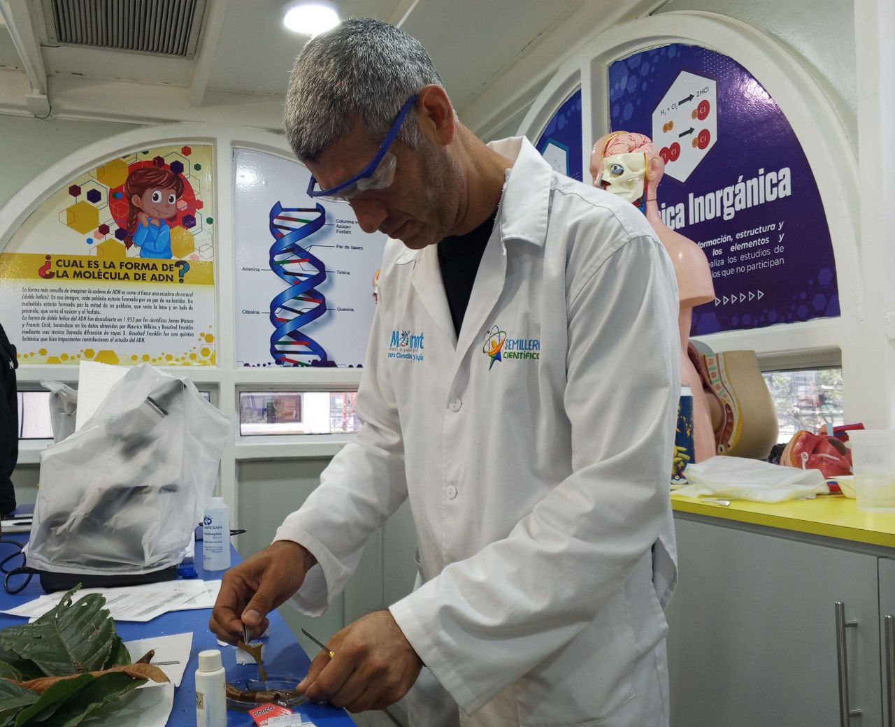 El Dulce Laboratorio: Cuando el Cacao reveló sus Secretos Científicos